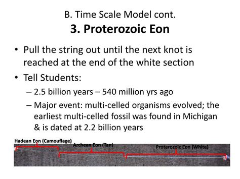 Ppt Fossils Powerpoint Presentation Free Download Id 2162451