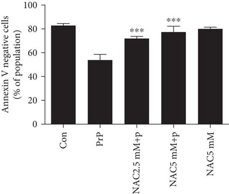 Ros Scavenger Treatment Attenuated Prp 106 126 Mediated Mitochondrial