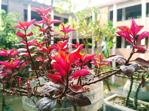 পুরাতন জিনিস ক্রয় বিক্রয় হবিগঞ্জ