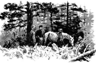 Краткое содержание произведений - Литеровед.ру