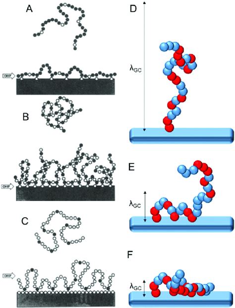 Polyampholyte Conformations Schematics Of The Gelatin Chain Download Scientific Diagram