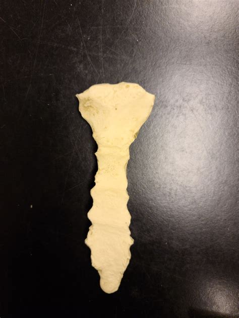 Sternum Diagram Quizlet