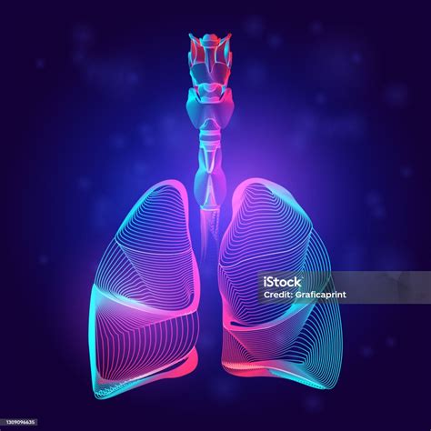 人肺醫療結構霓虹燈抽象背景上 3d 線藝術風格的身體部位器官解剖學輪廓向量圖向量圖形及更多肺圖片 肺 抽象 人體肺部 Istock