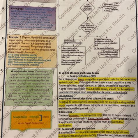 Nervous System Section Medical Coding Billing Notes 41 Pages Instant