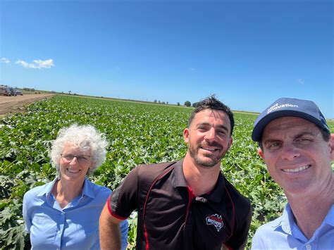 David Shorten Posted On Linkedin