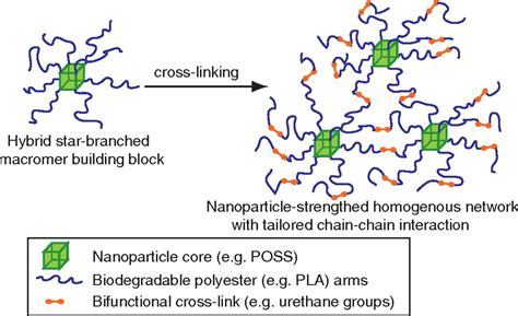 High Performance Shape Memory Polymer Networks Based On Rigid