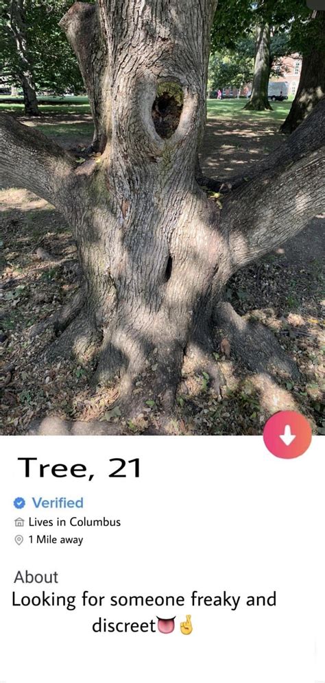 Need Advice For Future Cse Courses R Osu