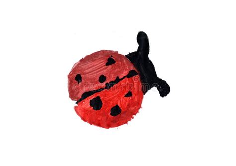 Disegno Figlio Della Coccinella Su Fondo Bianco Disegno Di Coccinella