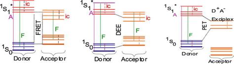 Coordination Compounds Of Lanthanides As Materials For Luminescent Turn Off Sensors Intechopen