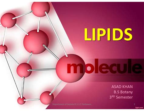 SOLUTION Lipids And Its Classification Studypool