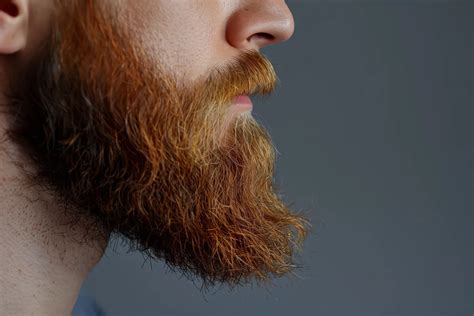When And How To Trim A Beard With Scissors The Beard Club
