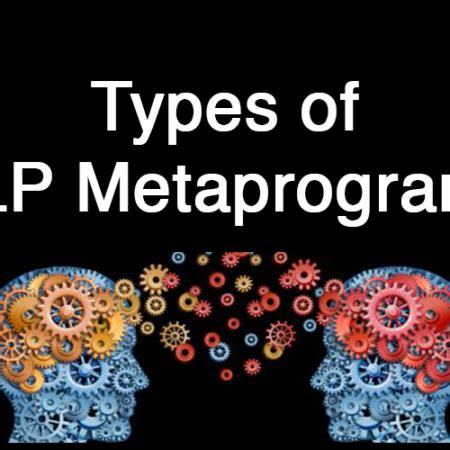 Types Of NLP Metaprograms NLP Training NLP Coaching NLP Trainer Motivational Speaker