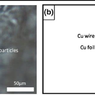 A Optical Image And B Schematic Diagram Of A Shear Sample Download Scientific Diagram
