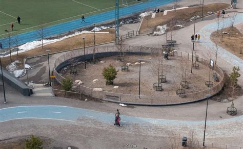 ТОП 10 решений для создания дог френдли среды в жилых проектах Консалтинговое агентство Gmk