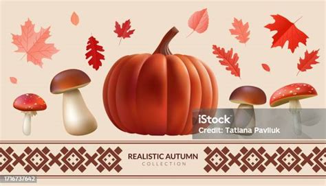 호박 버섯 나뭇잎의 현실적인 3d 가을 세트 가을 상징 수집 중독 및 식용 버섯 참나무 단풍 나무 붉은 잎 가을 시즌 배너 카드 초대장을 위한 디자인 요소 Ai가 아님 0
