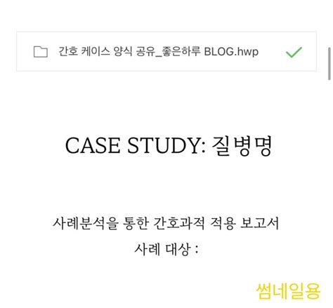 [간호학과] 간호 케이스스터디 양식 작성법 한글파일 공유 네이버 블로그