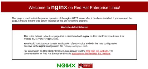 Cara Install Nginx Pada Almalinux 8