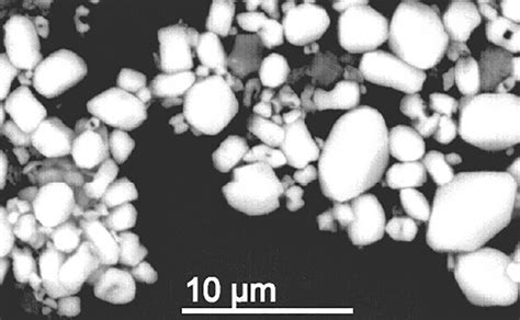 Scanning Electron Microscope Sem Image Of Marine Pelagic Barite