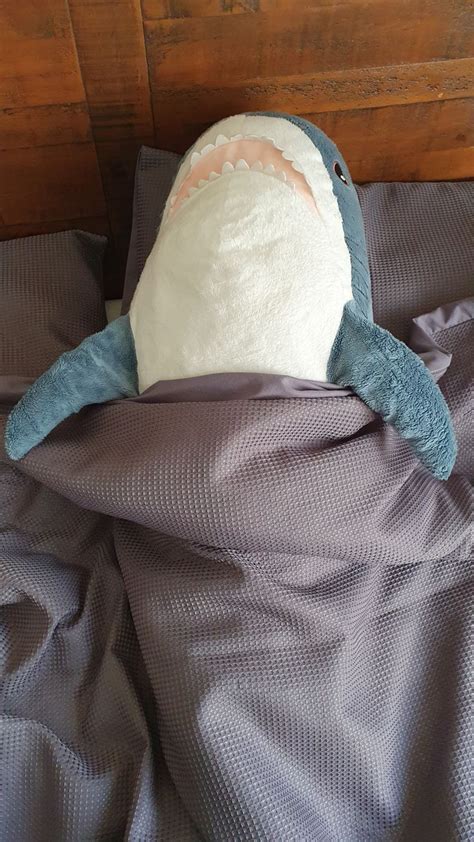 Sleeping Blahaj 🦈💤 | Cute shark, Shark pictures, Shark plush