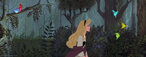 What Do You Like Most About The Movie Sleeping Beauty Poll Results