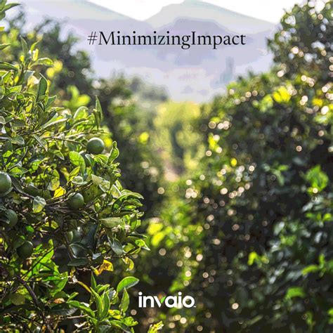 Invaio On Linkedin Invaios Citrus Solution Is Improving The Health Of