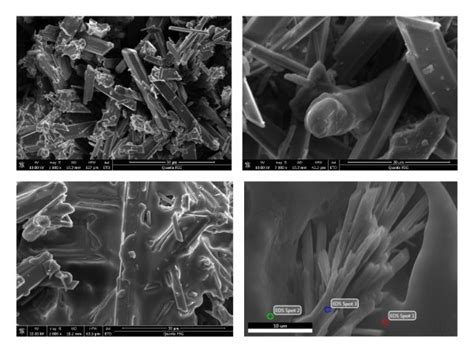 The Sample Picture Under Electron Microscope Download Scientific Diagram