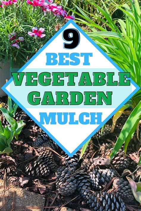 Vegetable Garden Mulch The 9 Best Mulch For Vegetable Garden In 2024