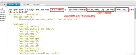 Ansible Ansible Csdn