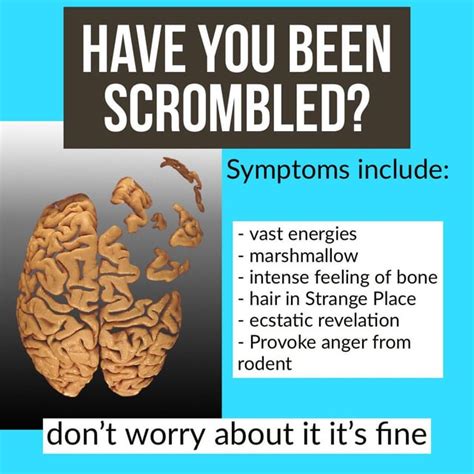 Scp 682 Termination Attempts Be Like R Dankmemesfromsite19