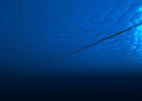 The Ocean Cleanup Aims To Strip Plastic From The Sea