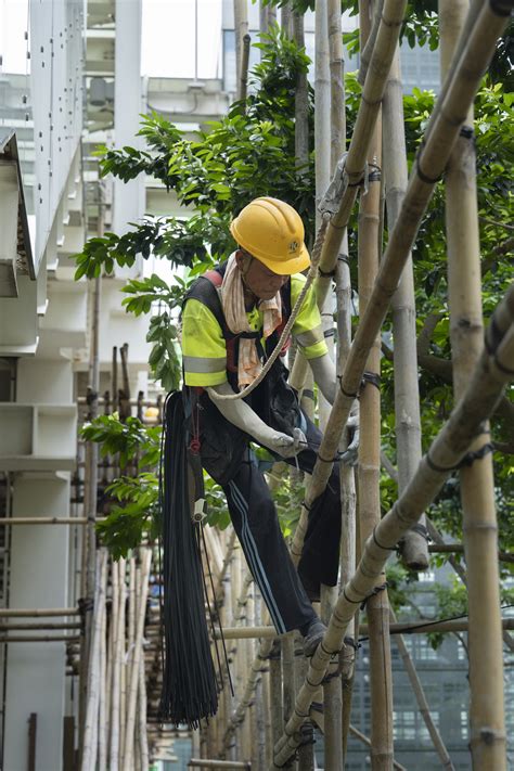 Reinterpreting The Art Of Bamboo Scaffolding Reinterpreting The Art Of Bamboo Scaffolding