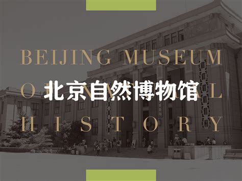 北京自然博物馆展陈遇好创想 站酷zcool