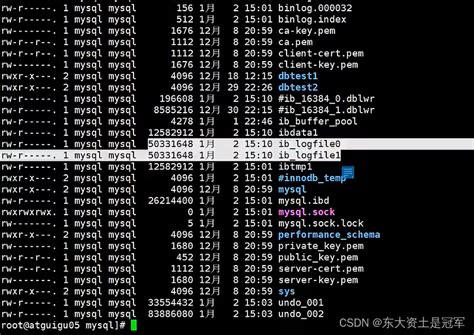 Mysql事务日志 Redo Undo详解redo Undo Csdn博客