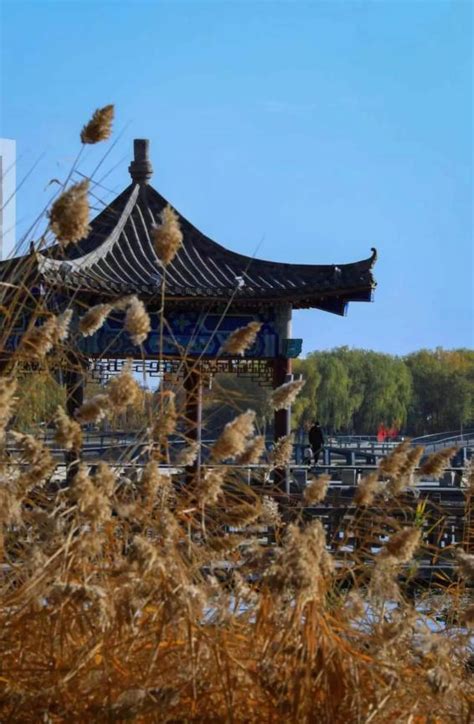 抓住秋天的尾巴！请记住金川晚秋美景~澎湃号·政务澎湃新闻 The Paper