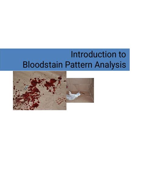 lec 2 pdf