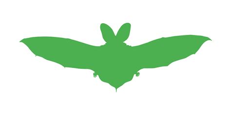 Svg Svg Svg Silh