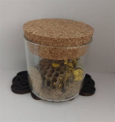 Paper Wasp Nest Display Etsy