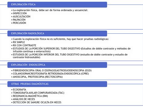 ExploraciÓn Del Aparato Digestivo Enfer Maca Tu Blog De EnfermerÍa