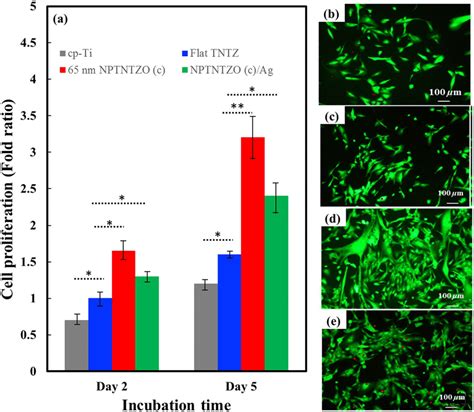 A Hfob Proliferation On Cp Ti Tntz 65 Nm Nptntzo C And
