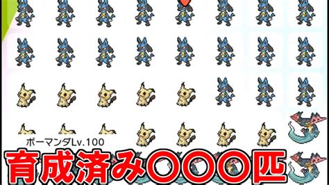 対戦廃人の育成済みboxがヤバすぎる【ポケモン剣盾】 Youtube