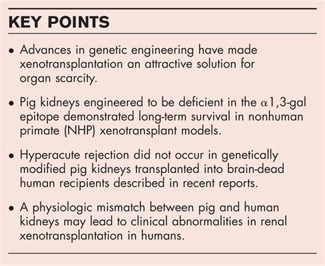 Physiologic considerations of pig-to-human kidney xenotransp ...