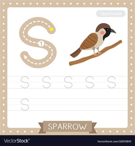 Letter S Uppercase Tracing Practice Worksheet Vector Image