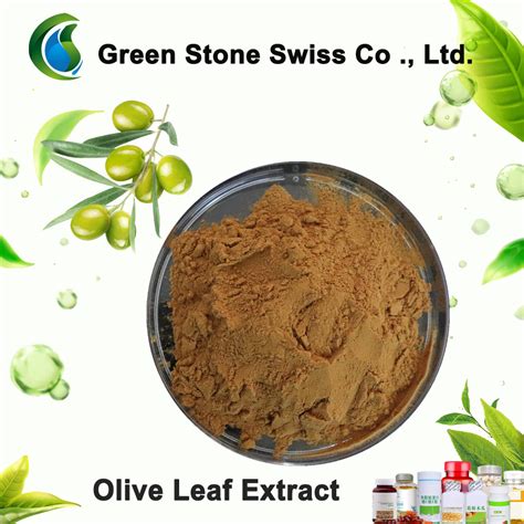 Olive Leaf Extract 20 Oleuropein Supplierpricemanufacturer From