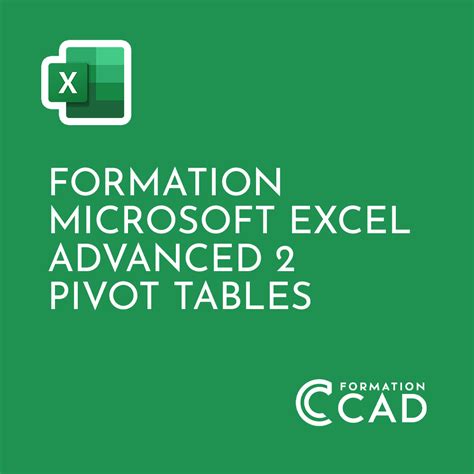 Microsoft Excel Advanced 2 Pivot Tables Formation Cad