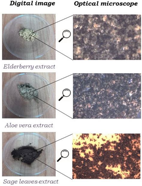 通过植物提取物和精油在壳聚糖涂层体系中的协同作用产生生物活性和可生物降解的棉织物 Scientific Reports X Mol
