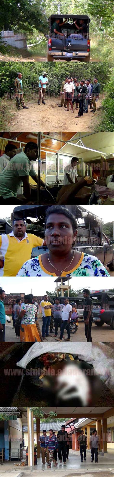 ජීවිත රකින්න ගිය මෙහෙයුමක් අතරතුර වන අලි ප්‍රහාරයක්