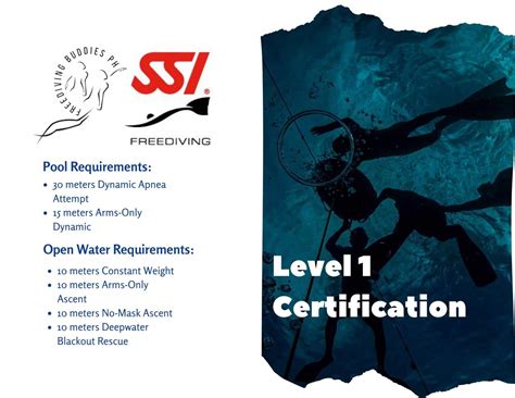 Achieve Freediving Mastery 2 Day Ssi Level 1 Certification In Batangas