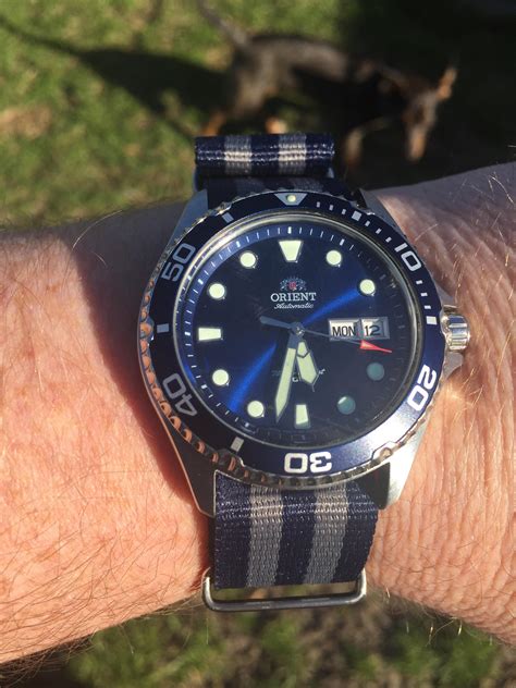 [orient ray 2] new nato for my ray : Watches