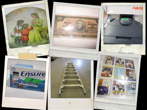 Another Wild Rose Auction · Sporting Goods In Alberta · Townpost
