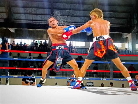 Kumong Bol Anon Xiii Pmi Arq Boxers Triumph